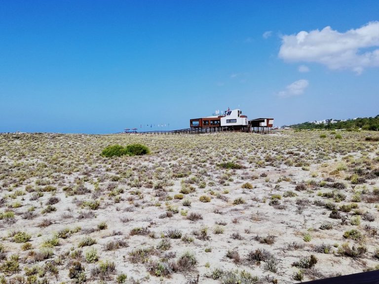 Passadiço de Quinta do Lago ao Ancão: pelas praias douradas do Algarve